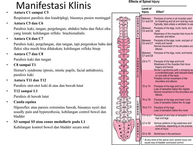 Bahan-Ajar-3_Trauma-Medulla-Spinalis.pdf