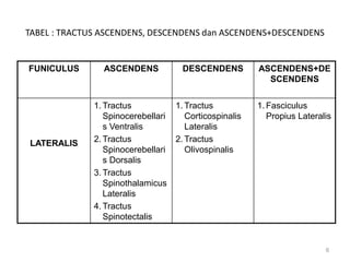 Bahan-Ajar-3_Trauma-Medulla-Spinalis.pdf