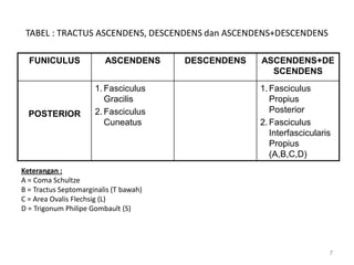 Bahan-Ajar-3_Trauma-Medulla-Spinalis.pdf
