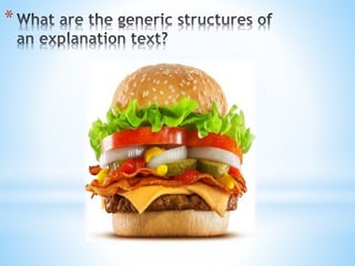 Explanation Text - burger concept | PPT