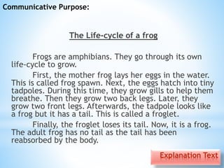 Explanation Text - burger concept | PPT