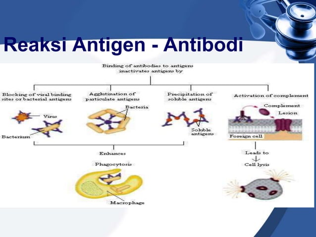 Bahan ajar - INTERAKSI ANTIGEN DAN ANTIBODI-.ppt