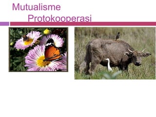 Bahan ajar komponen ekosistem | PPTX