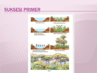 Bahan ajar komponen ekosistem (part 2) | PPTX