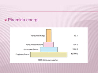 Bahan ajar komponen ekosistem (part 2) | PPTX