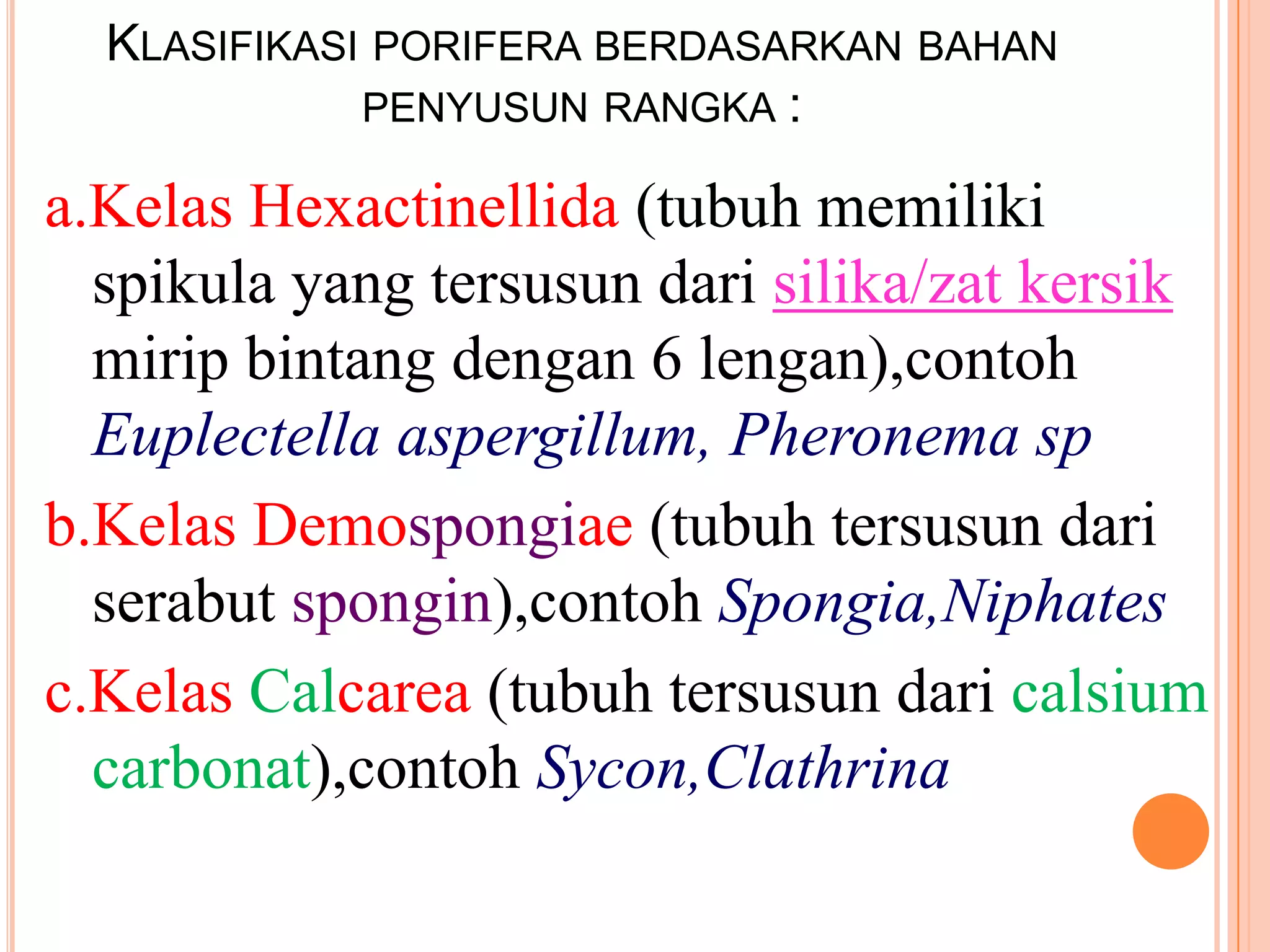 Bahan ajar 1 filum porifera, coelenterata, platyhelminthes | PPTX