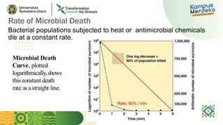 Bahan Ajar 2 - PengBio Rivaldi Sidabutar.pptx