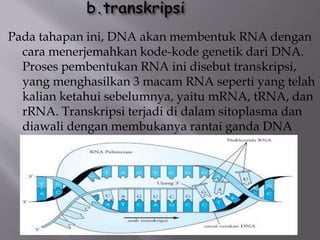Bahan ajar 4 genetika pewarisan sifat | PPTX