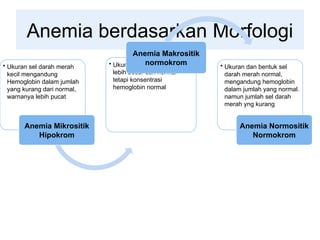 Anemia Dan Obat-obatan yang mempengaruhi darah | PPTX