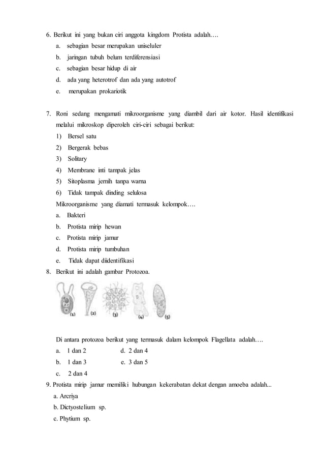 PENGENALAN PROTISTA | DOCX