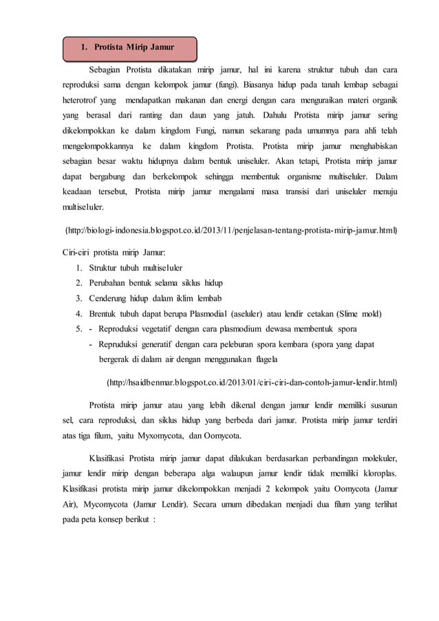 PENGENALAN PROTISTA | DOCX