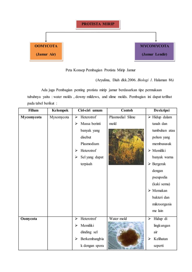 PENGENALAN PROTISTA | DOCX