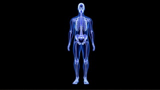 BAHAN AJAR IPAS_MAERI ORGAN GERAK AKTIF DAN PASIF.pdf