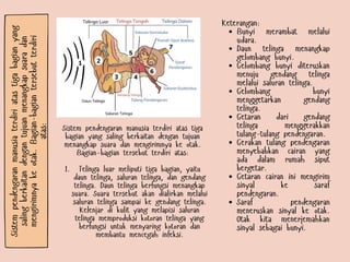 Bahan ajar K5.pdf