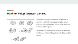 Bahan Ajar KLASIFIKASI MAKHLUK HIDUP UNTUK KELAS VII.pdf
