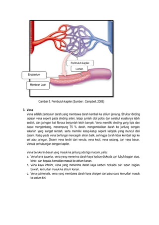 Bahan ajar organ peredaran darah | PDF