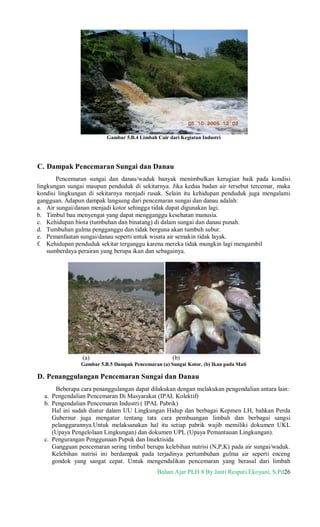 Bahan ajar plh 8 | PDF