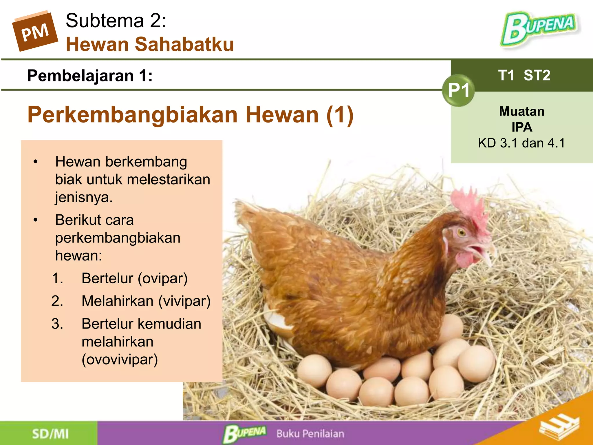 BAHAN AJAR SD KELAS 6 TEMA 1 SUBTEMA 2 (masbabal.com).pptx