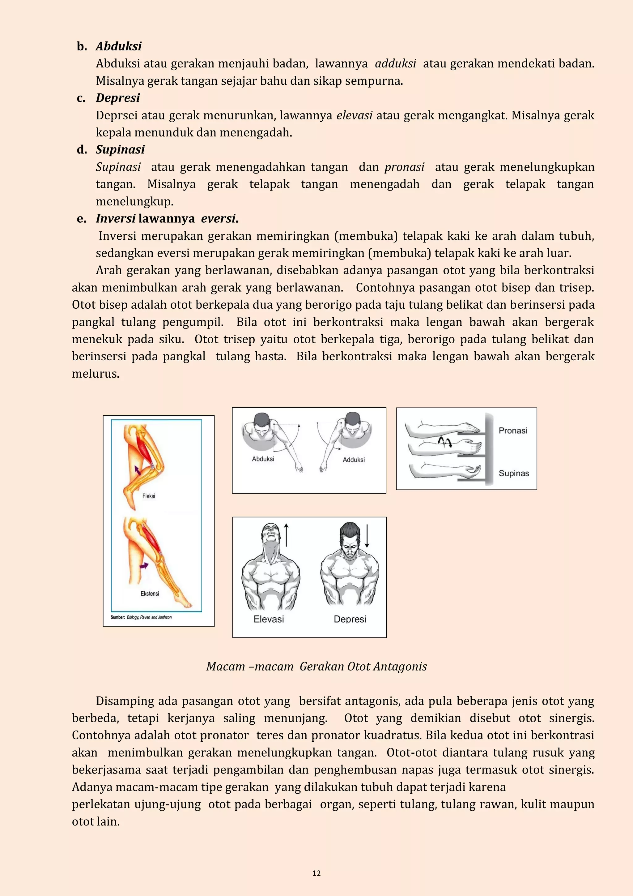 Bahan Ajar Sistem Gerak pada Manusia | PDF