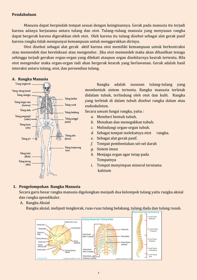 Bahan Ajar Sistem Gerak pada Manusia | PDF Bahan Ajar Sistem Gerak pada Manusia | PDF