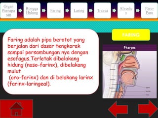 sistem pernapasan | PPTX