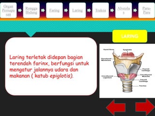 sistem pernapasan | PPTX