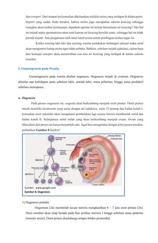 Bahan ajar 'sistem reproduksi' | PDF