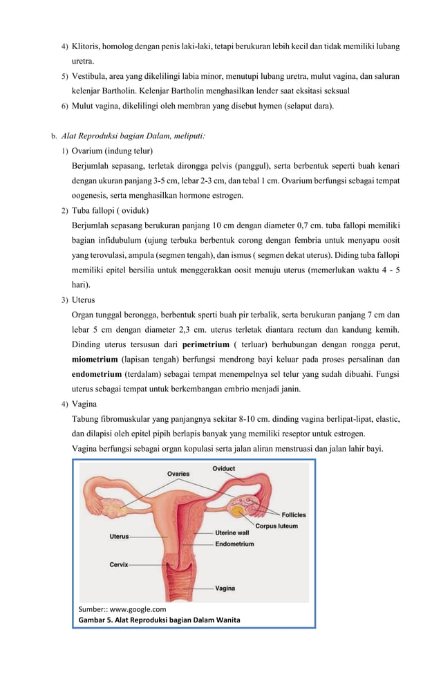Bahan ajar 'sistem reproduksi' | PDF