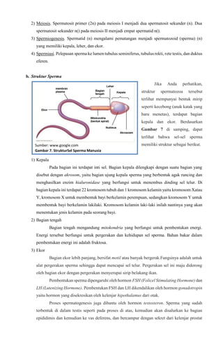 Bahan ajar 'sistem reproduksi' | PDF