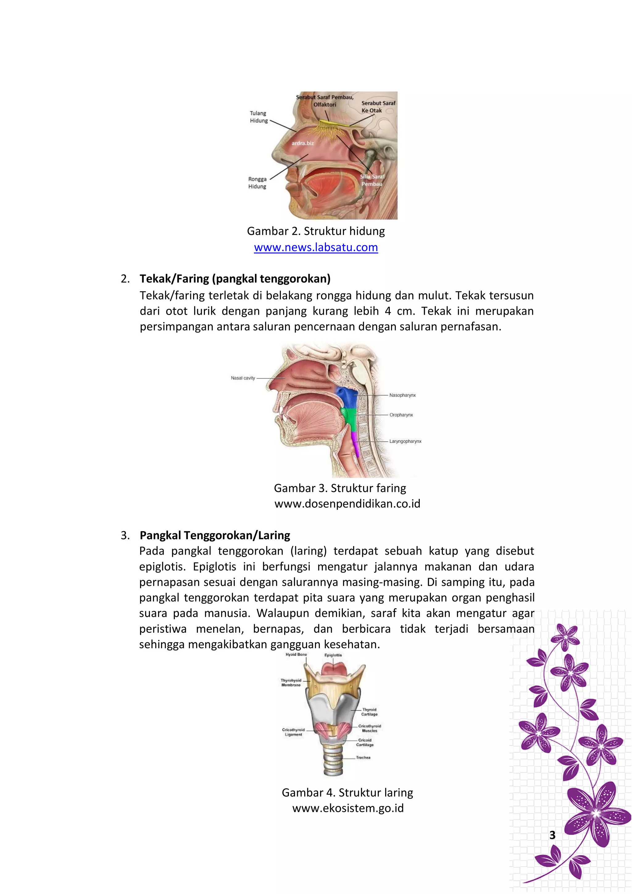 Bahan Ajar_SP1_Anita.pdf