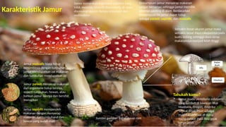 Bahan Ajar Versi Materi Fungi Untuk SMA Kelas X | PPTX