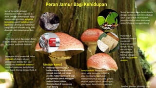 Bahan Ajar Versi Materi Fungi Untuk SMA Kelas X | PPTX