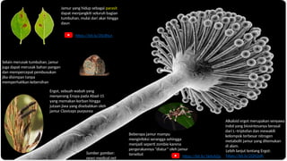 Bahan Ajar Versi Materi Fungi Untuk SMA Kelas X | PPTX