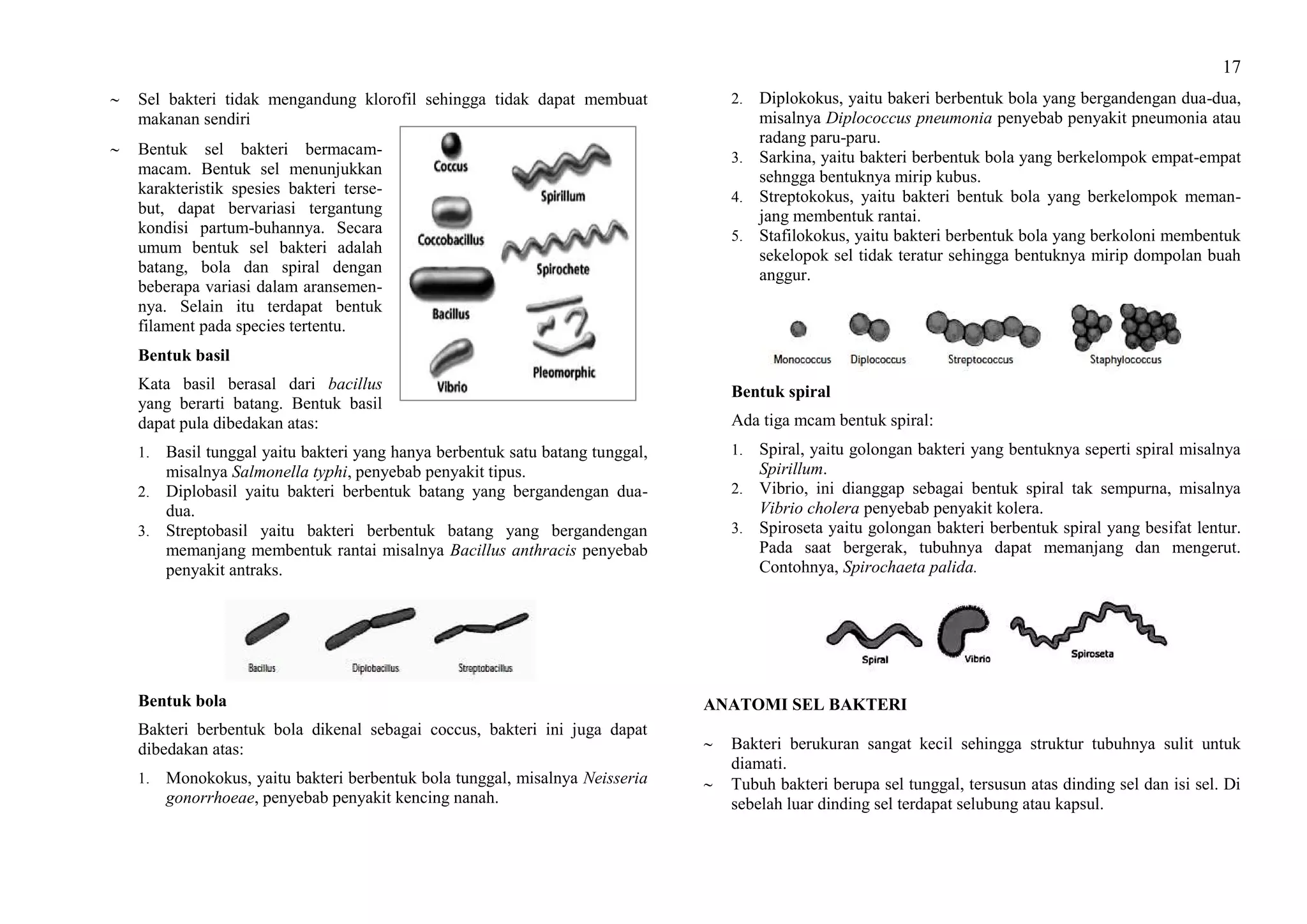 BAHAN BACAAN BAB 3-1- Bakteri.pdf