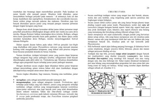 BAHAN BACAAN BAB 3-2 Fungi.pdf