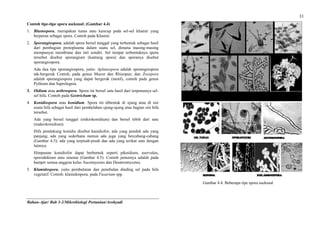 BAHAN BACAAN BAB 3-2 Fungi.pdf