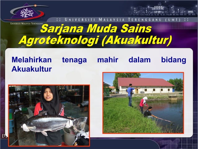 Pengenalan Program Pengajian FPAI | PPT