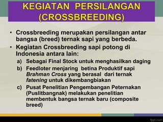 Bahan dir jogja | PPTX