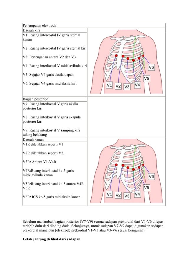 Bahan ekg | DOCX