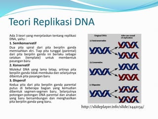 BAHAN GENETIK dan EKSPRESI GEN MAHLUK HIDUP.pptx