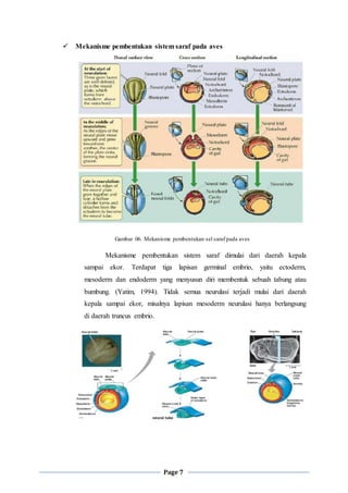 sistem perkembangan hewan | DOCX