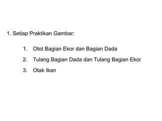 Bahand. Ikan beronang mempunyai toleransi besar terhadap salinitas dan ...