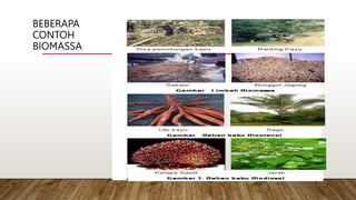 BAHAN KULIAH MATRIKULASI Dasar2 Biomassa.pptx