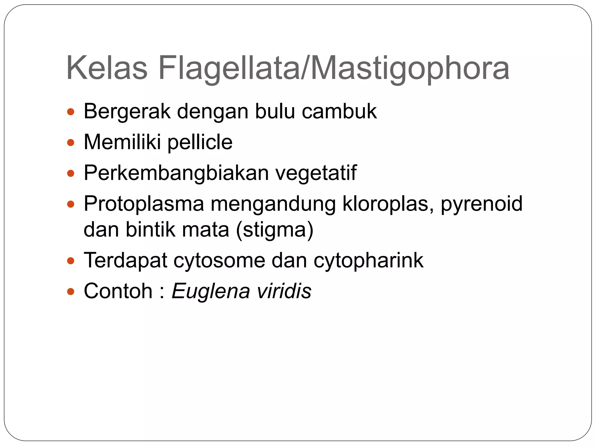 Bahan kuliah Filum Protozoa | PPTX