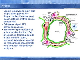 Bahan kuliah sel dan enzim sistem respirasi | PPTX