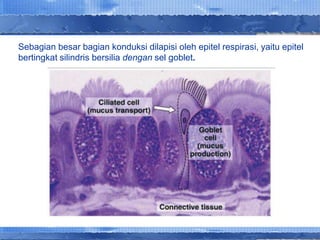 Bahan kuliah sel dan enzim sistem respirasi | PPTX