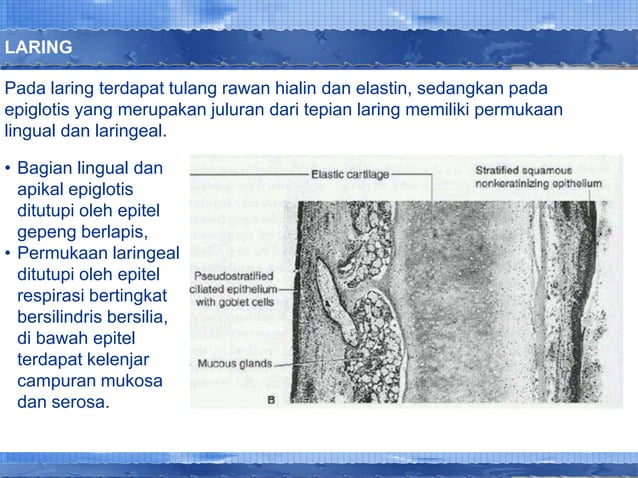 Bahan kuliah sel dan enzim sistem respirasi | PPTX