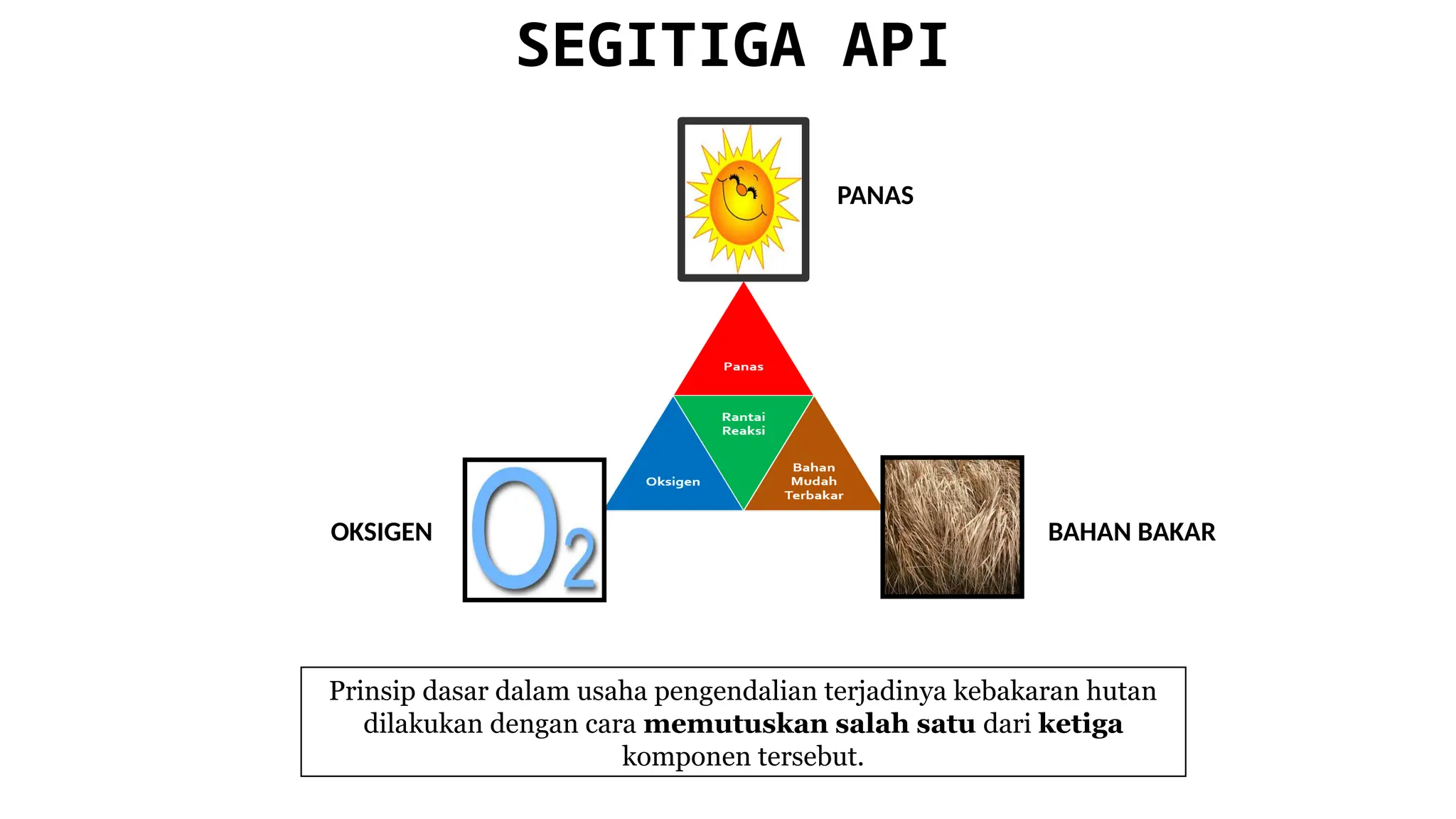 materi Bahan Materi Jambore HKAN (3).pptx
