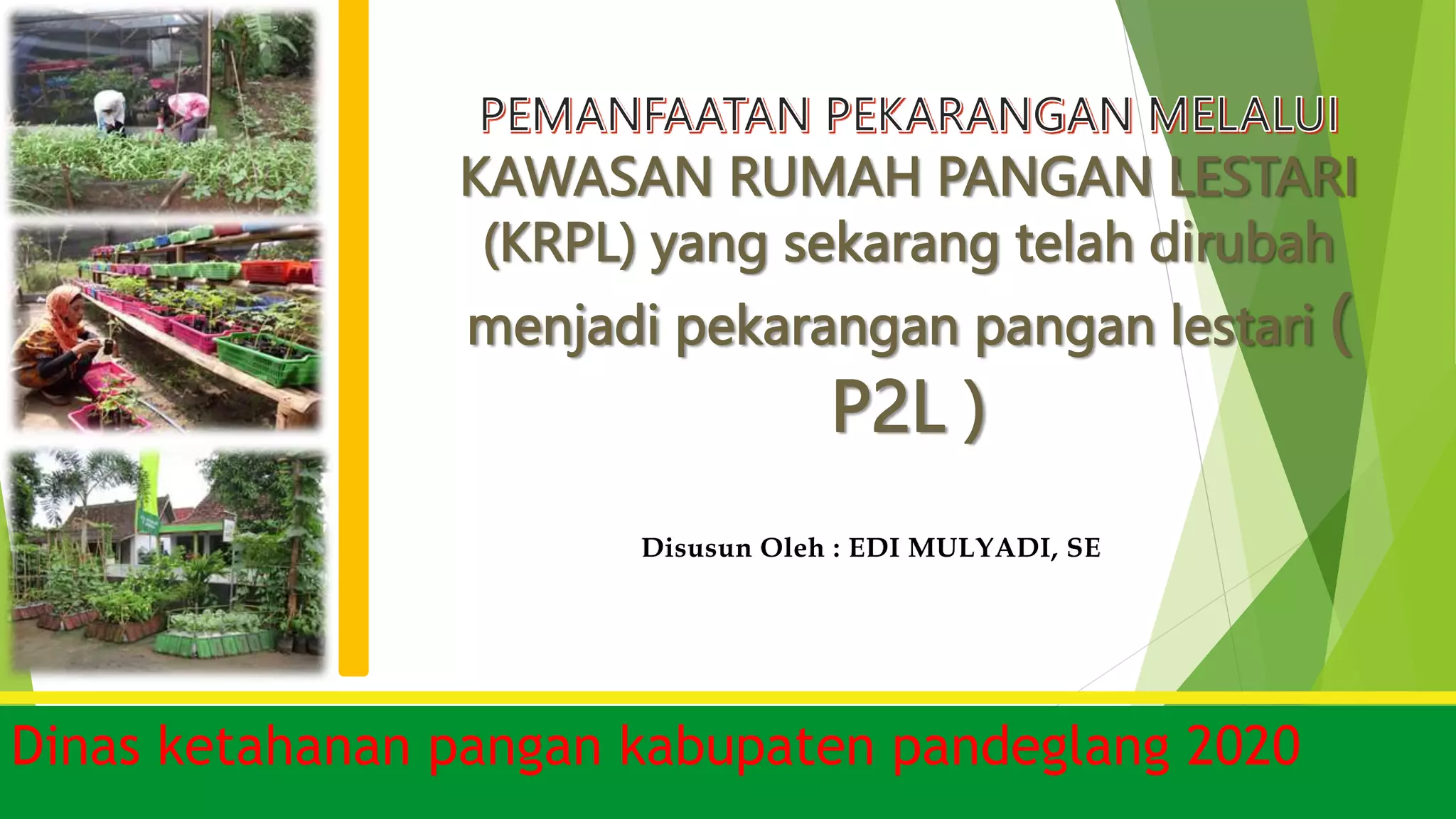 bahan materi p2l.pptx