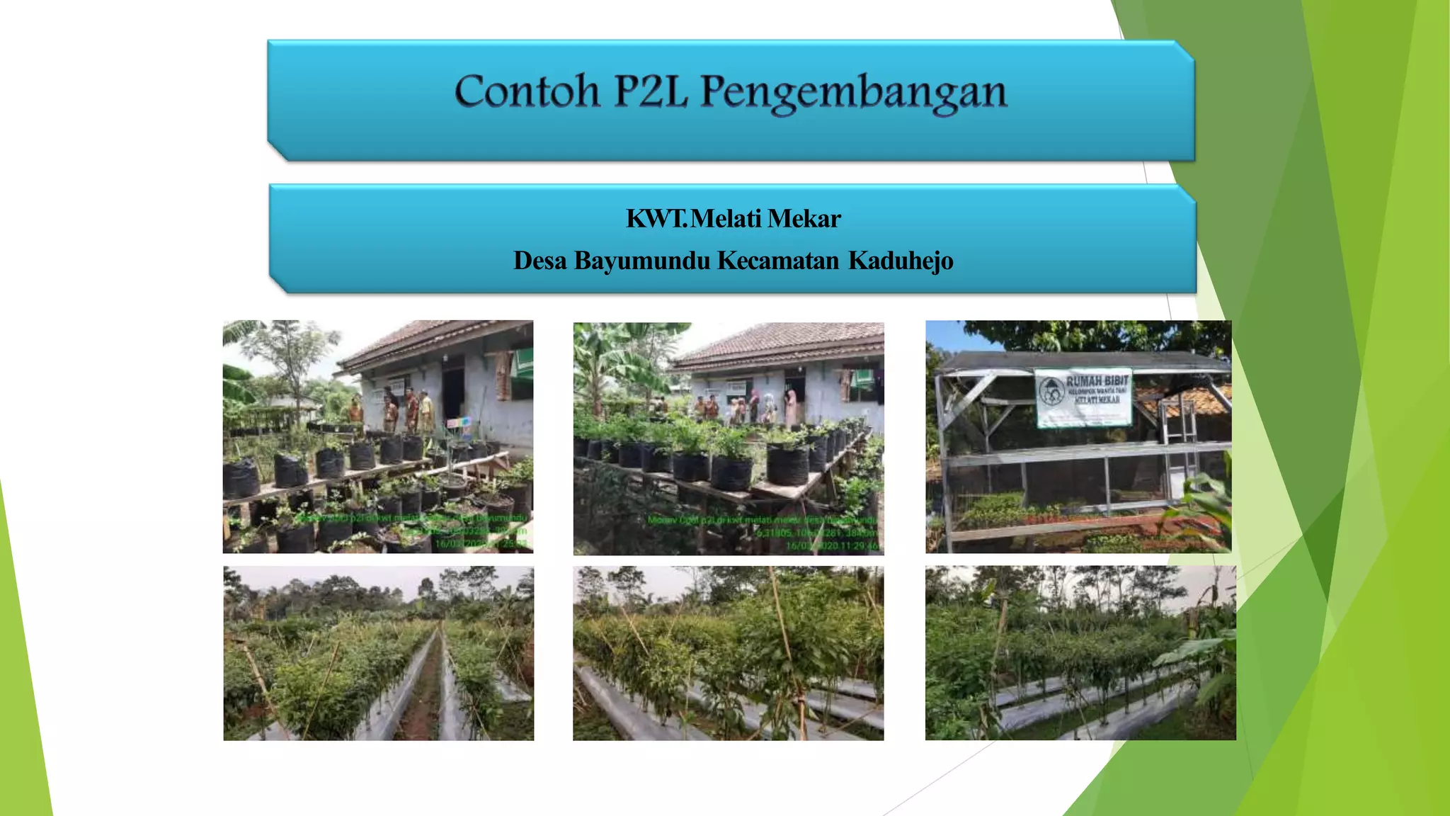 bahan materi p2l.pptx